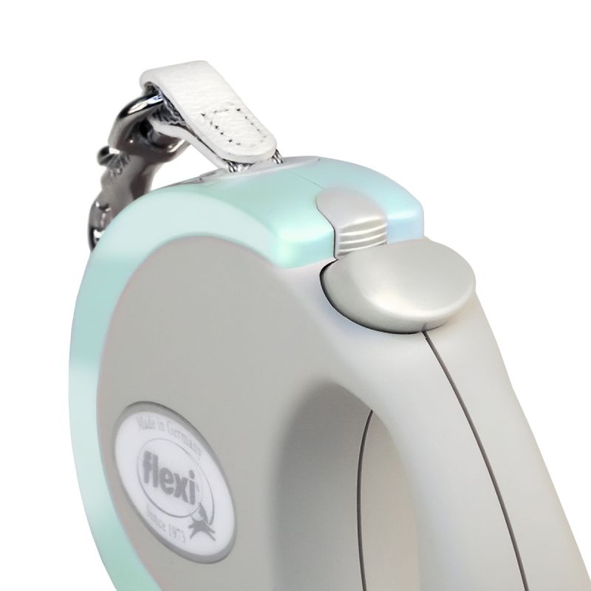 Flexi - Laisse Style M Tape 5m mint Flexi COM-251-MI | Veepee